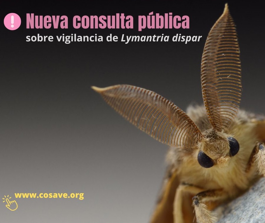 Apertura Consulta Pública ERPF 3.10.2 “Vigilancia de Lymantria dispar...